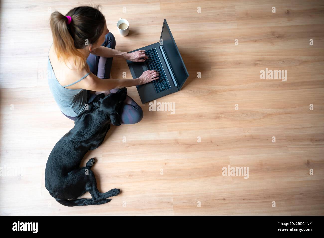 Overhead view of a young female freelancer in casual clothes working on ...