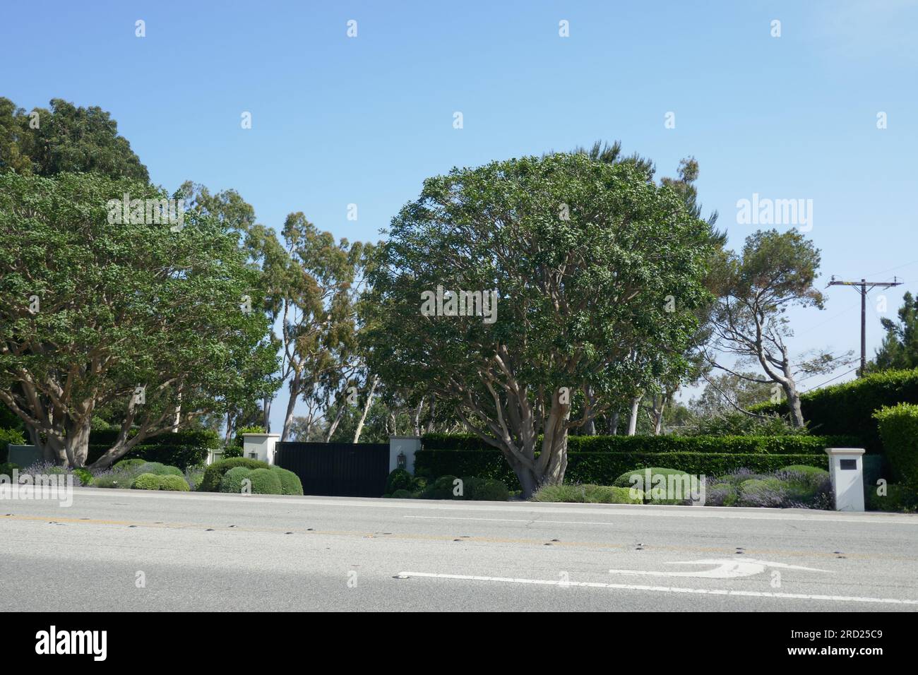 Malibu, California, USA 16th July 2023 Princess Diana and David Beckham ...