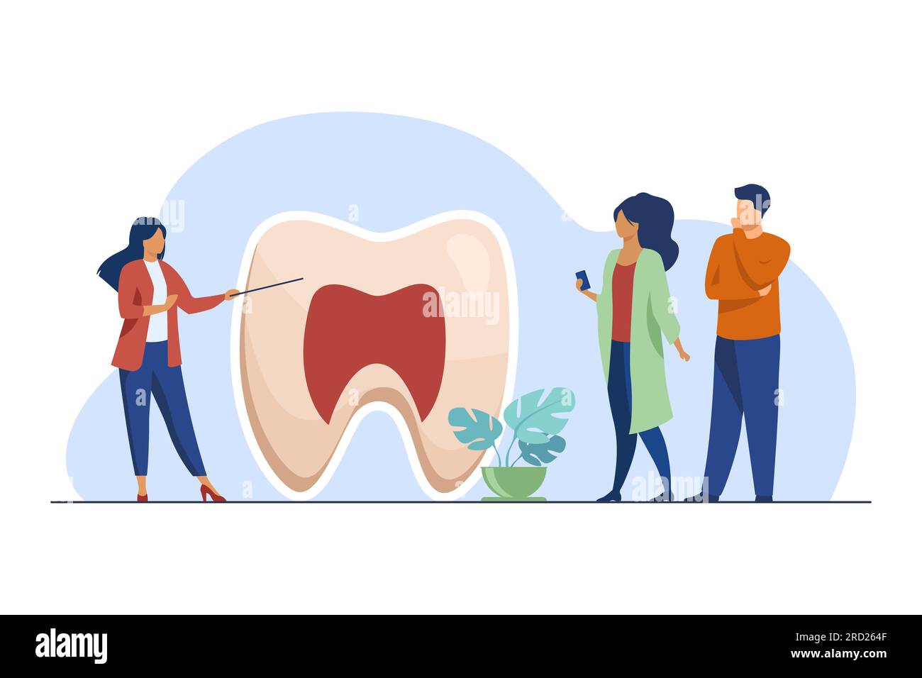 Woman explaining tooth structure to people Stock Vector Image & Art - Alamy