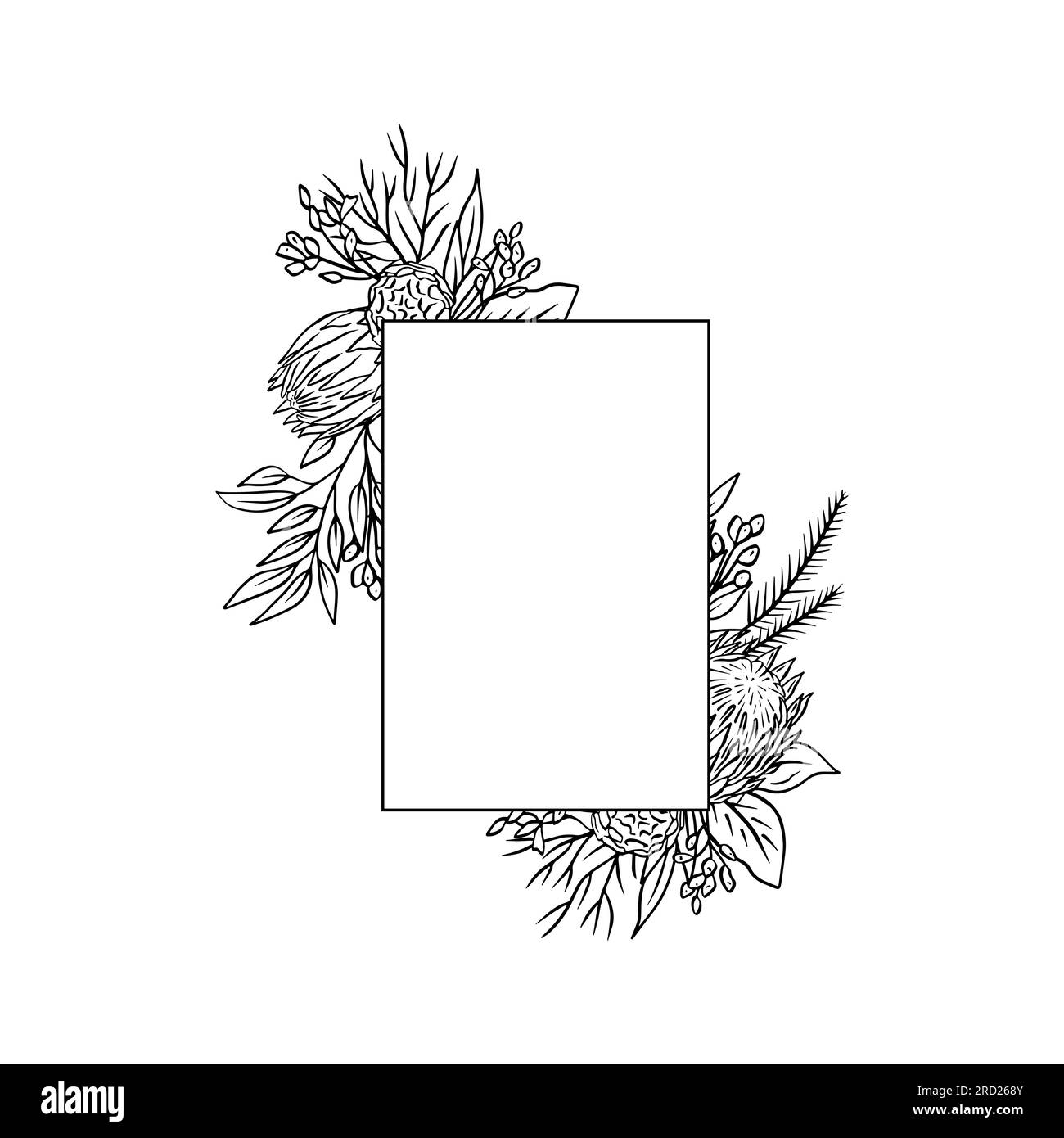 Protea frame Black and White Stock Photos & Images - Alamy