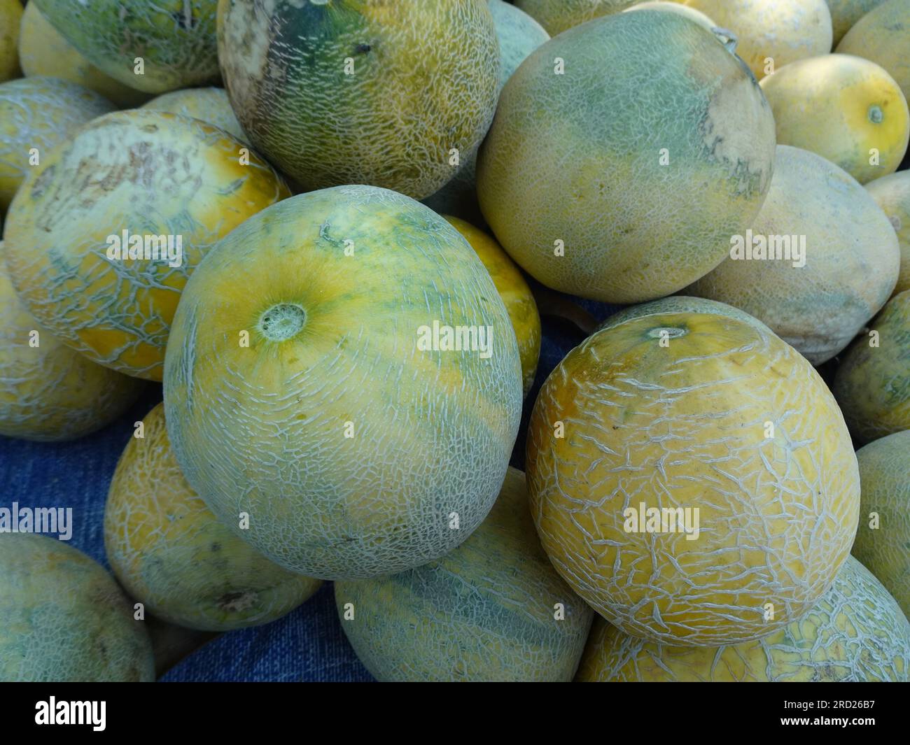 a bunch of sweet melons being sold in a traditional market Stock Photo ...