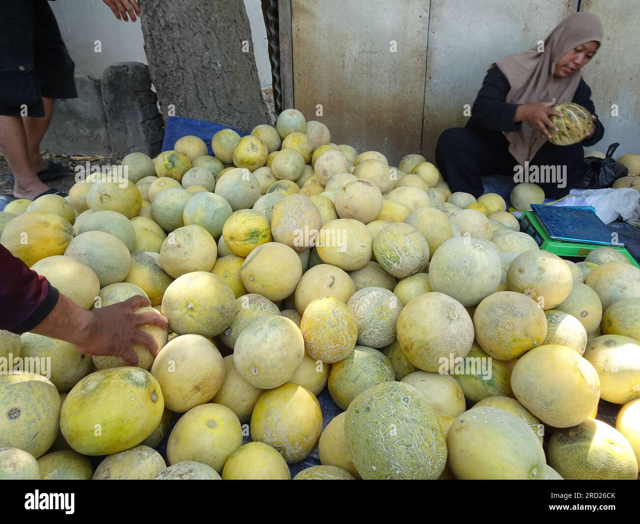 a bunch of sweet melons being sold in a traditional market Stock Photo ...