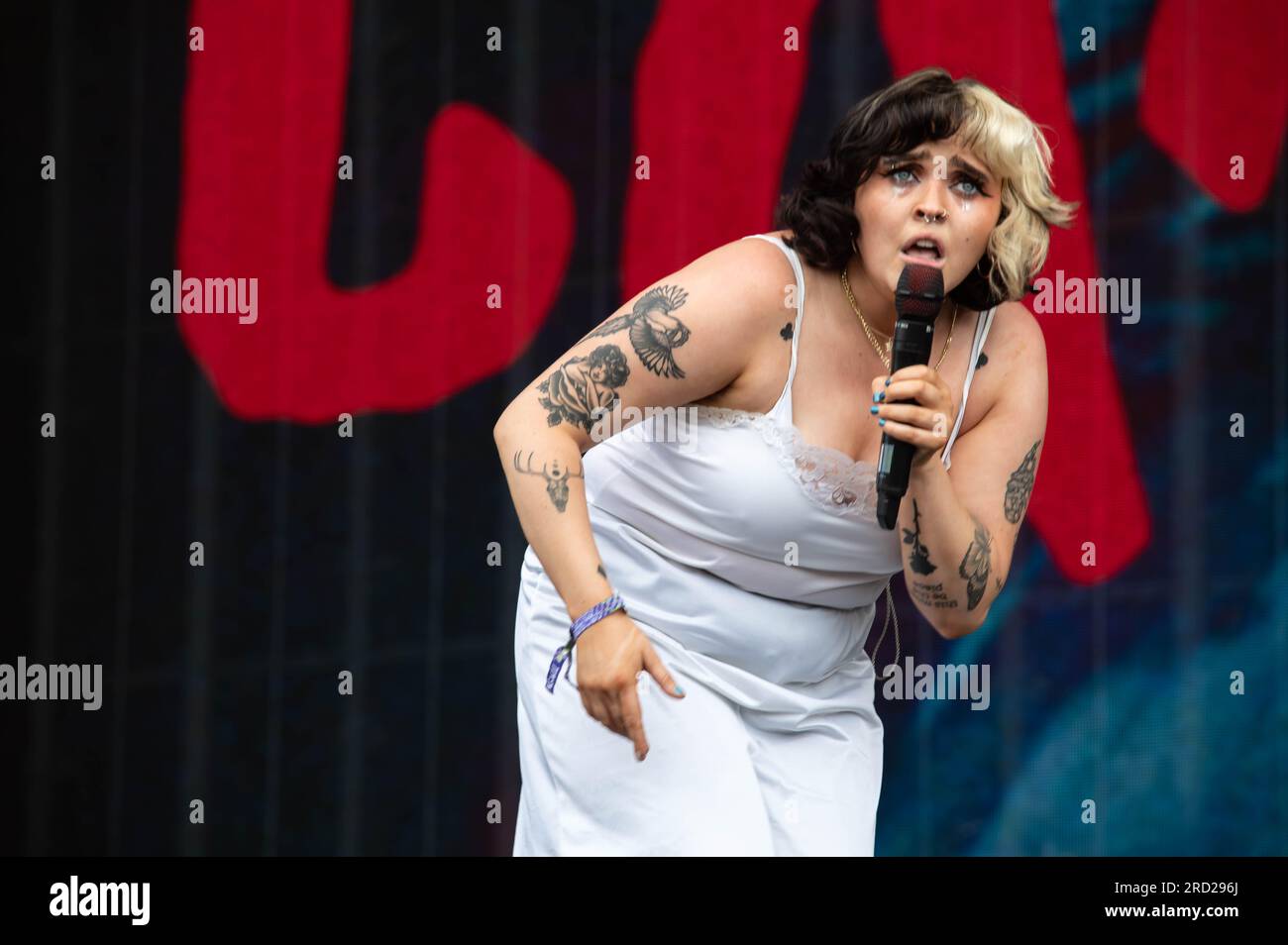 The Crawlers performing at TRNSMT at the Glasgow Green Glasgow Stock ...
