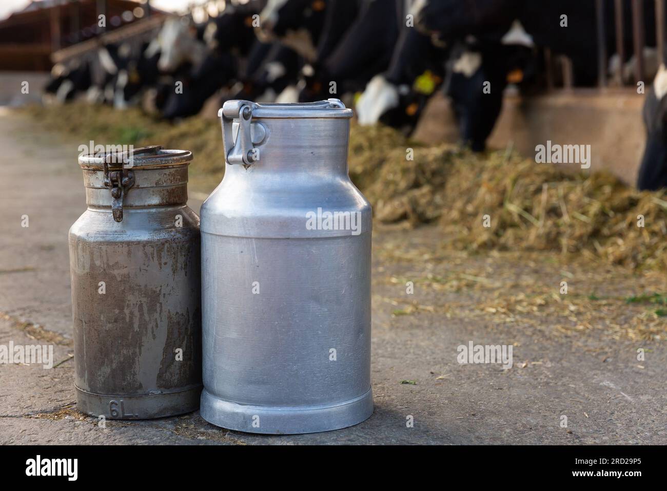 Image of two milk canisters standing on a farm Stock Photo - Alamy