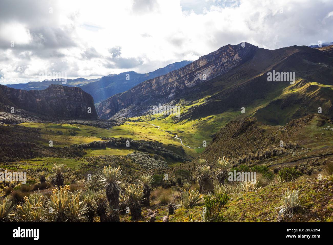 Beautiful high mountains in Colombia * Stock Photo - Alamy