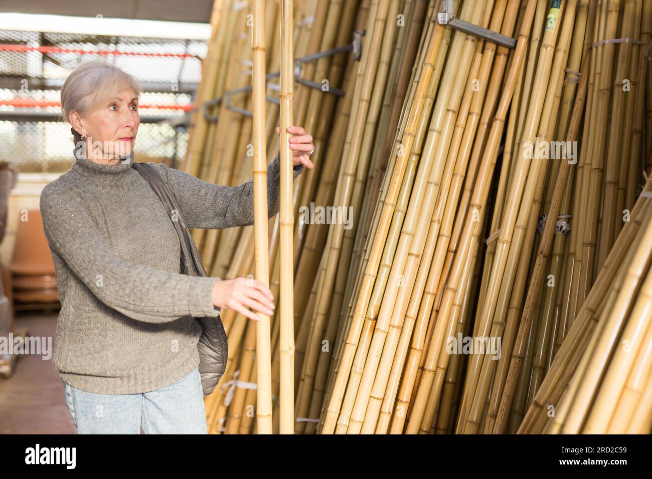 Mature woman choosing bamboo pole in store Stock Photo - Alamy
