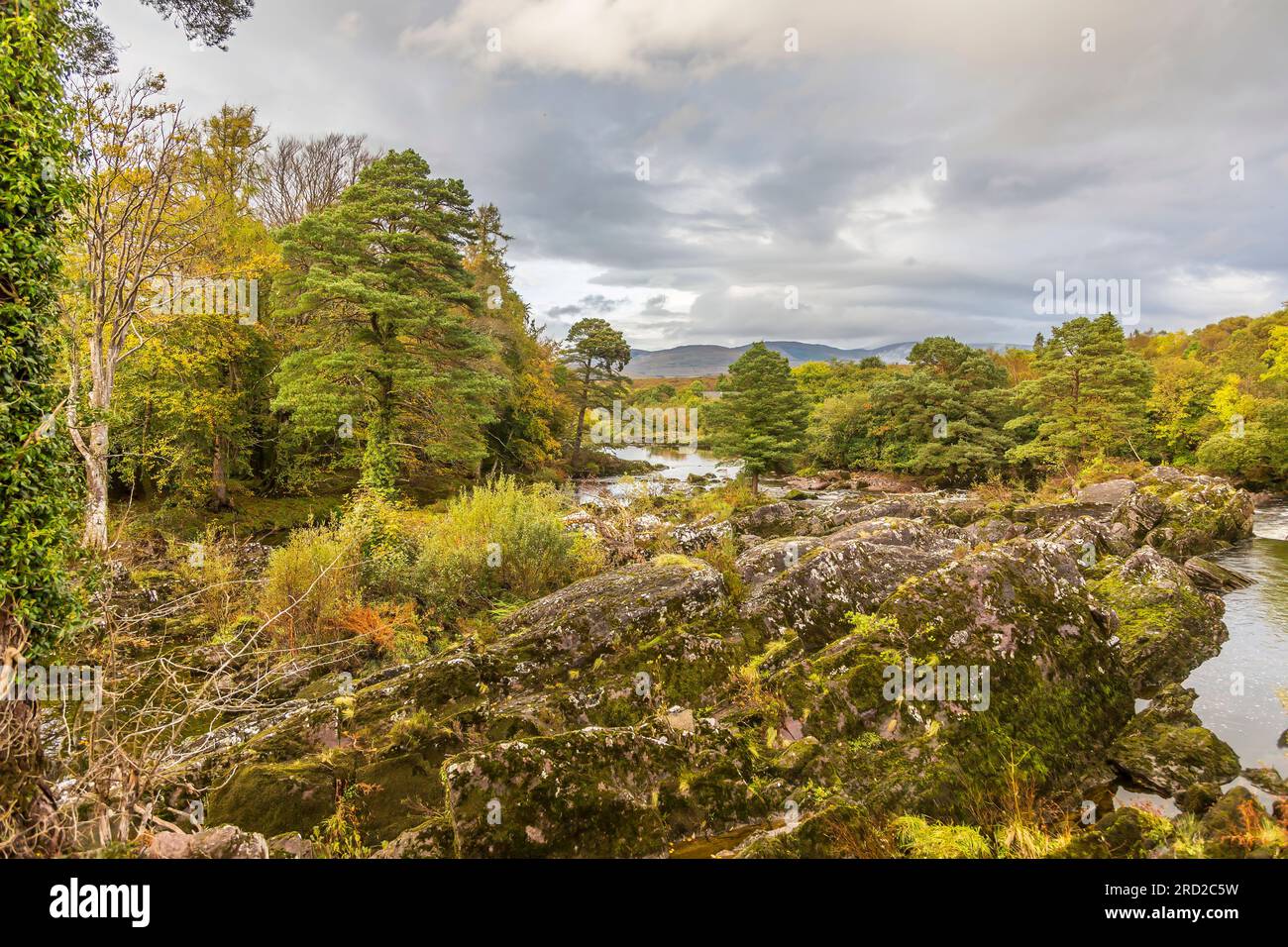 Panorama picture of typical Irish landscape with green vegetation and ...