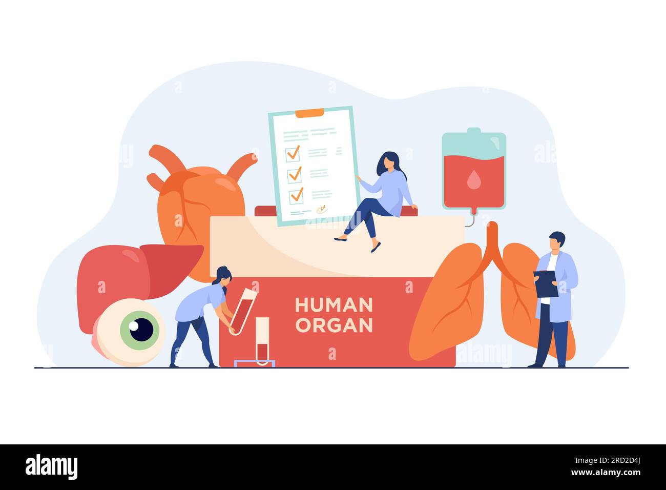 An organ donor card Stock Vector Images - Alamy