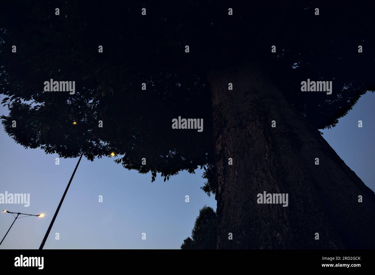 From beech street hi-res stock photography and images - Alamy