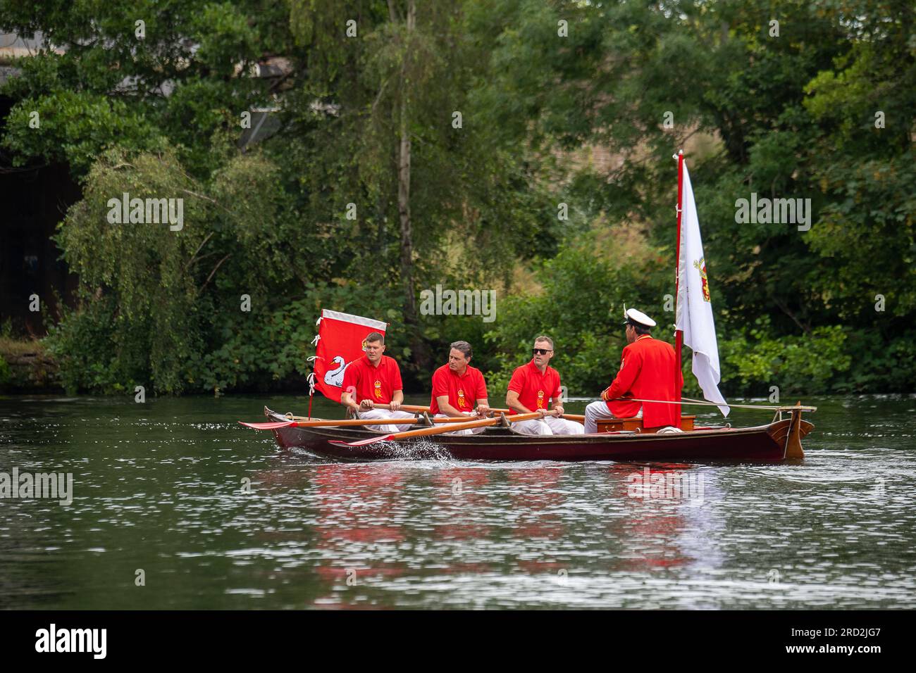 King charles swan uppers hi-res stock photography and images - Alamy