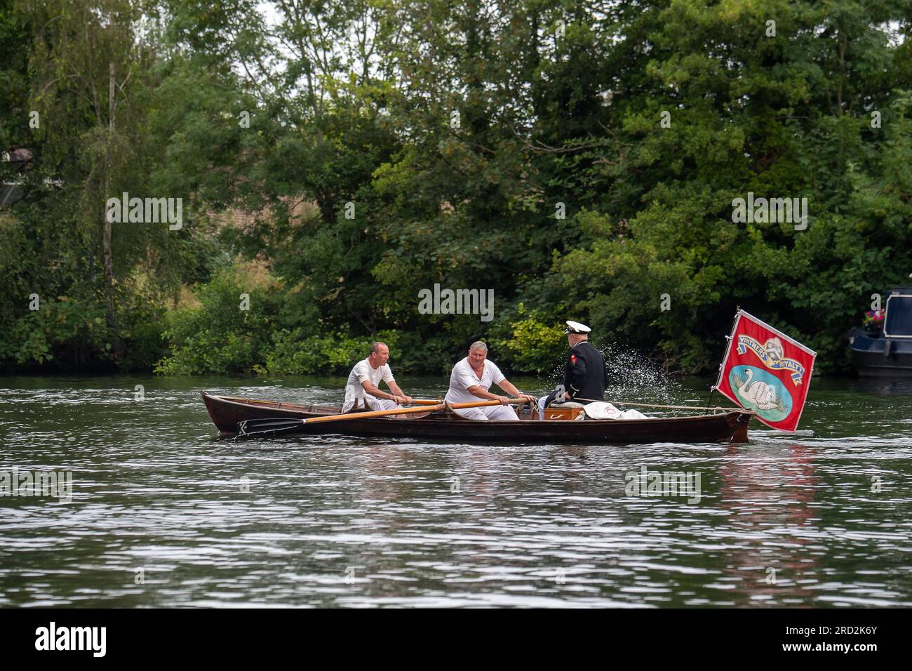 Swan upping photos 2023 hi-res stock photography and images - Alamy