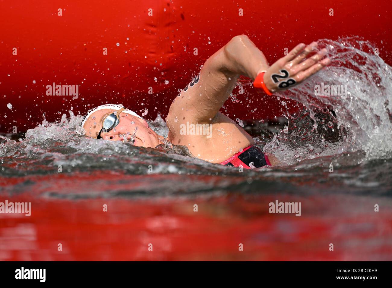 Van rouwendaal hi-res stock photography and images - Alamy