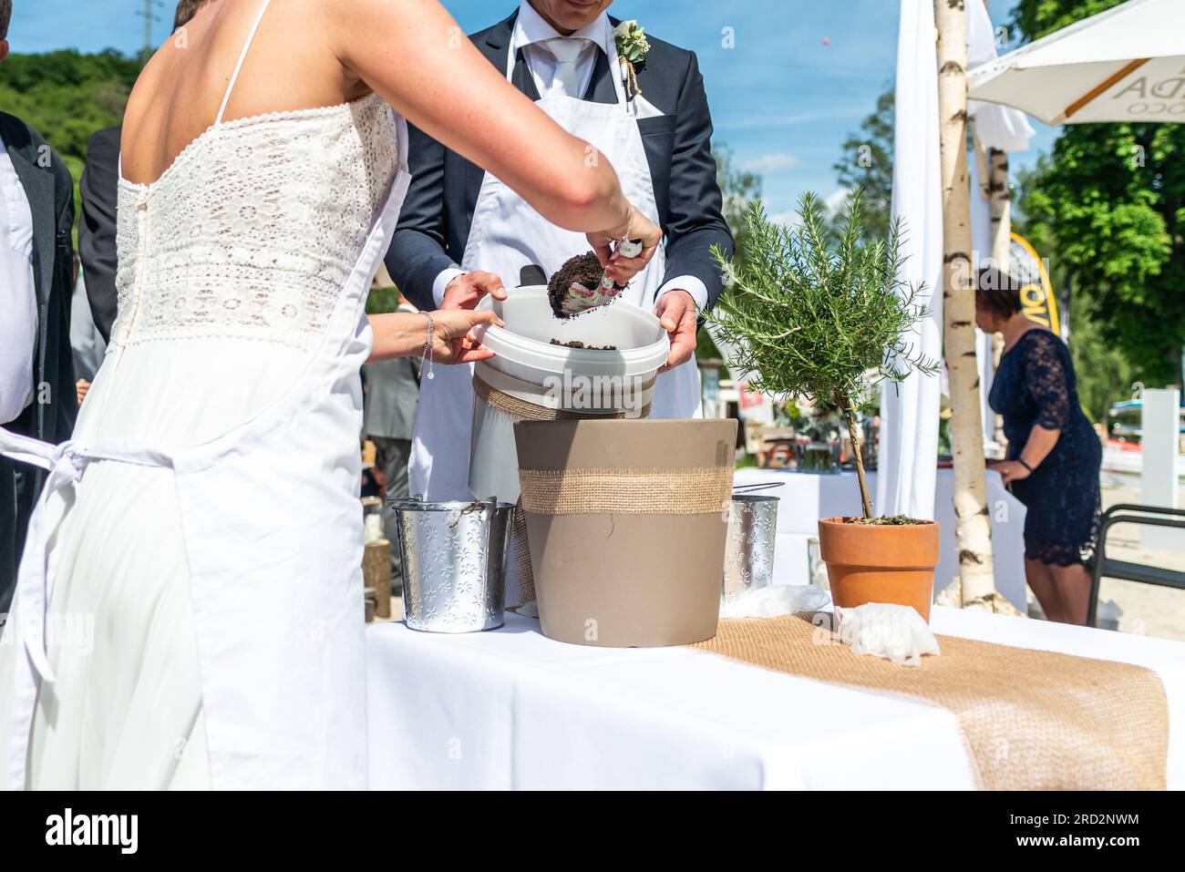 Planting Wedding Ceremony