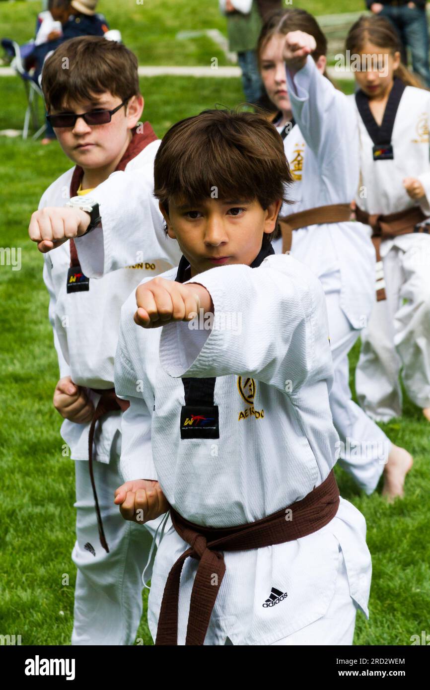 Tae Kwon Do Stock Photo - Alamy
