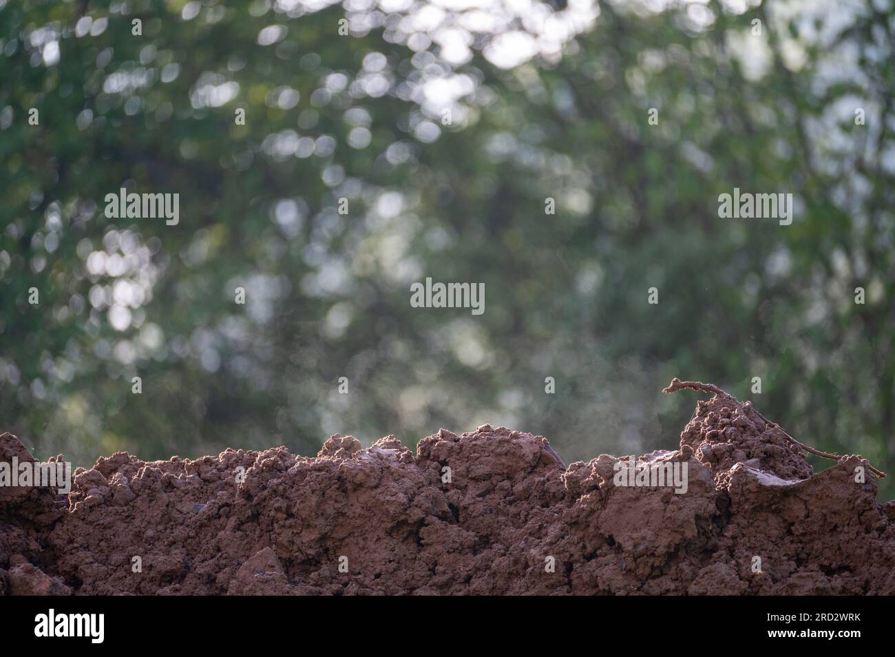 Fresh steaming earth soil in green nature Stock Photo - Alamy