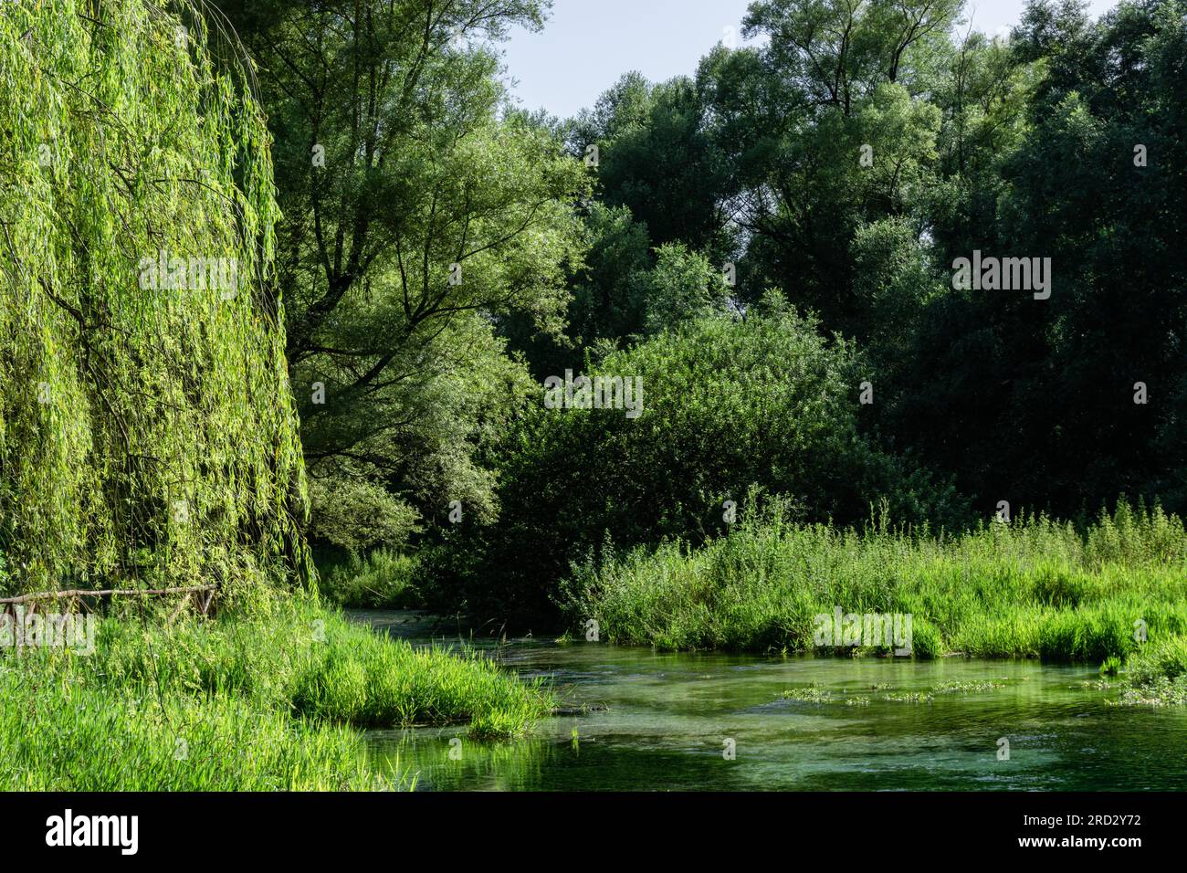 picturesque quiet stream with trees and grass riverbanks Stock Photo ...