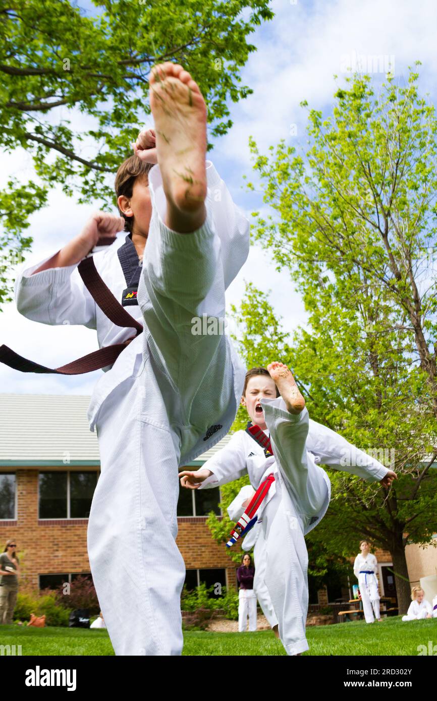 Tae Kwon Do Stock Photo - Alamy