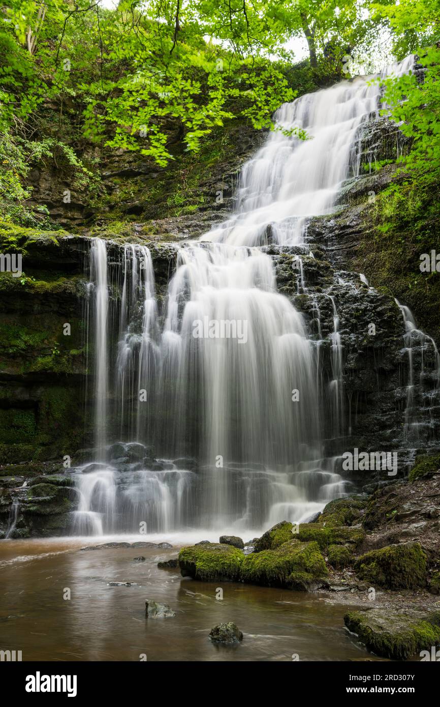 Scaleber Force waterfall, near Settle, Yorkshire Dales, England Stock ...
