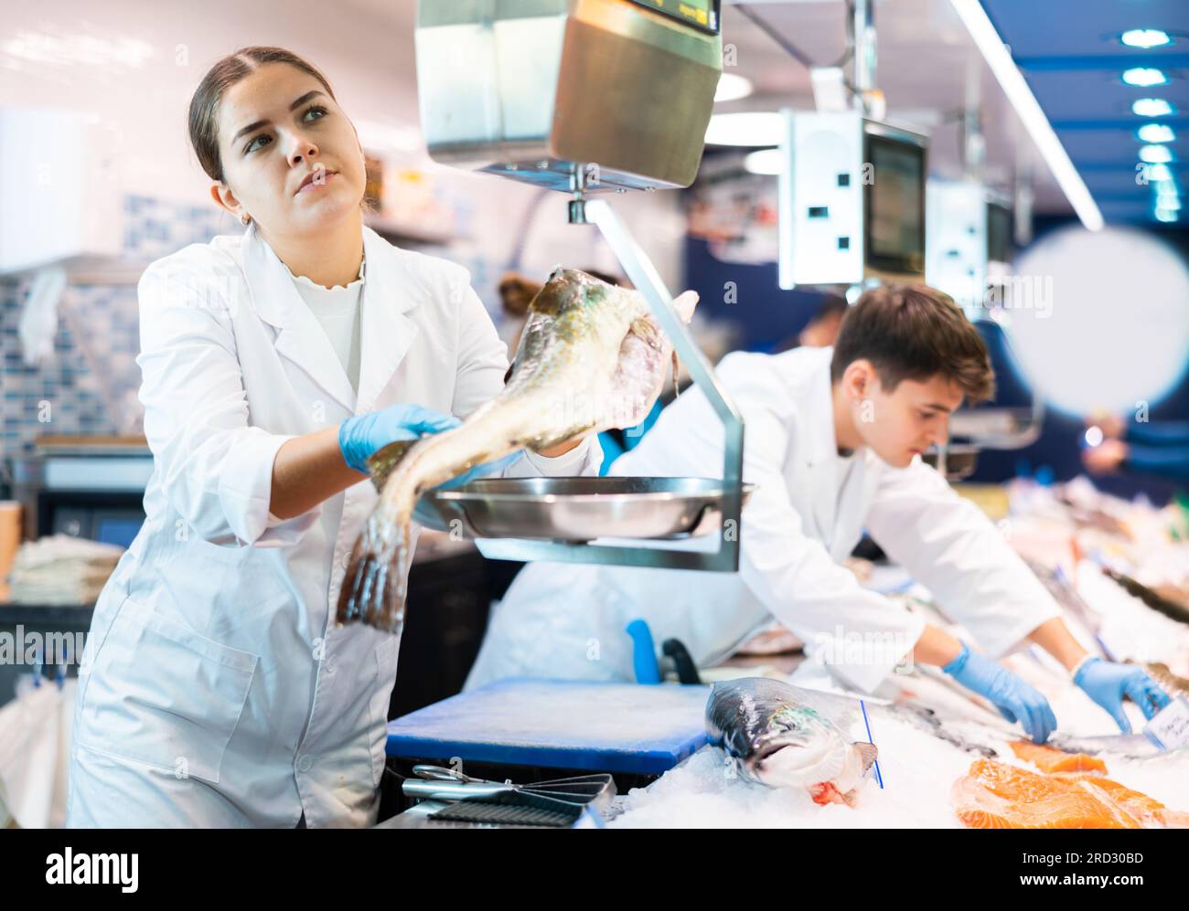 Female seller in fish department of supermarket weighs atlantic cod ...