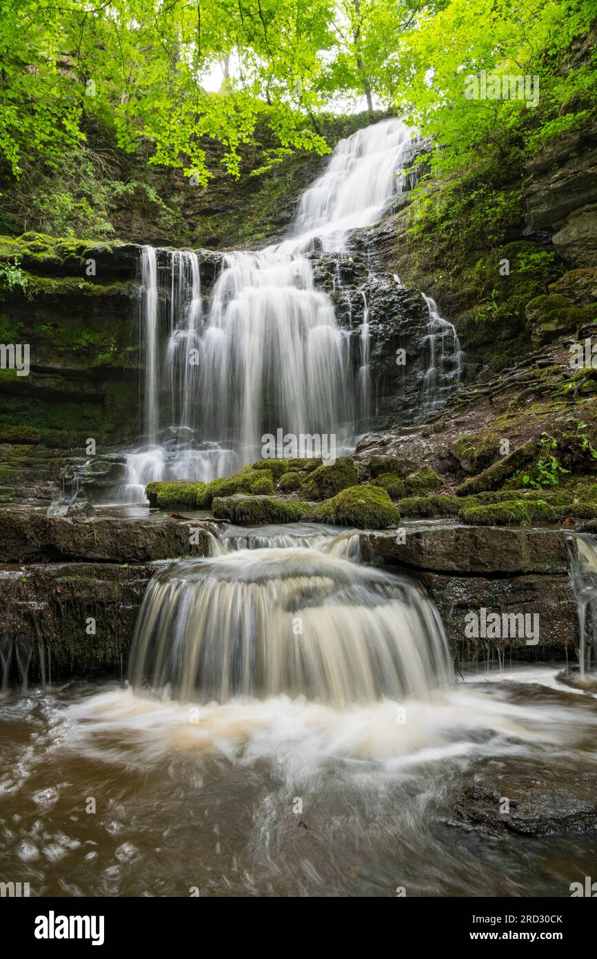 Scaleber Force waterfall, near Settle, Yorkshire Dales, England Stock ...