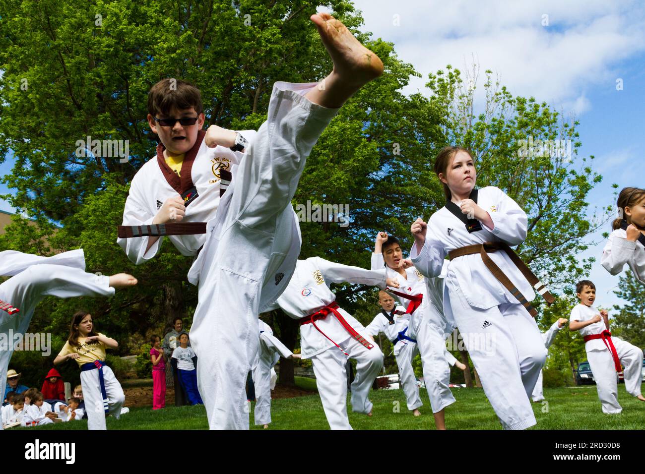 Tae Kwon Do Stock Photo - Alamy