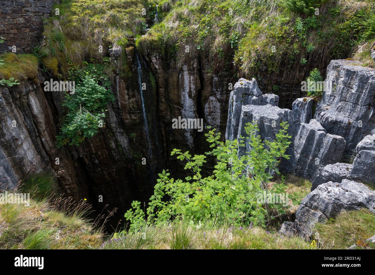 Buttertubs, limestone sinkholes at Buttertubs Pass, near Hawes ...