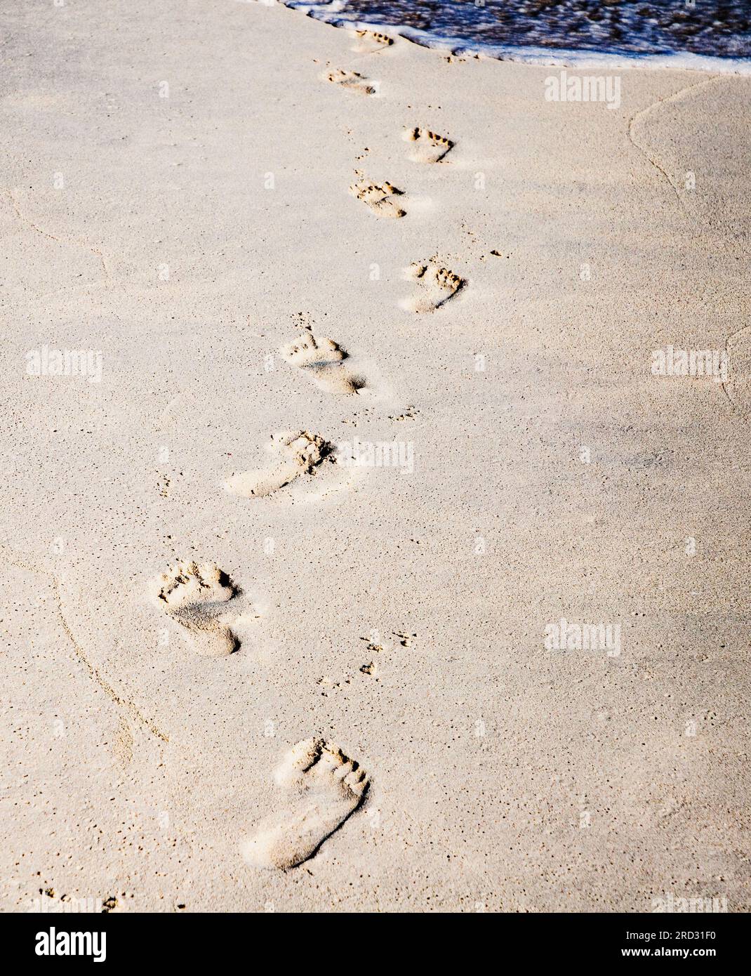 Golden footsteps hi-res stock photography and images - Alamy