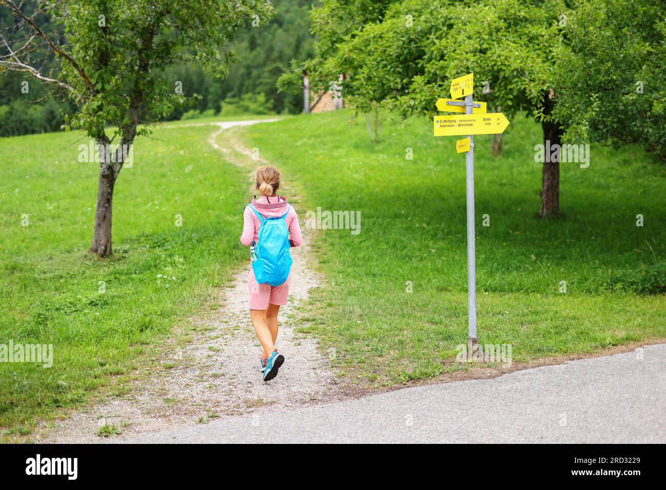 Beautiful fit young woman with the backpack hiking up a mountain Stock ...