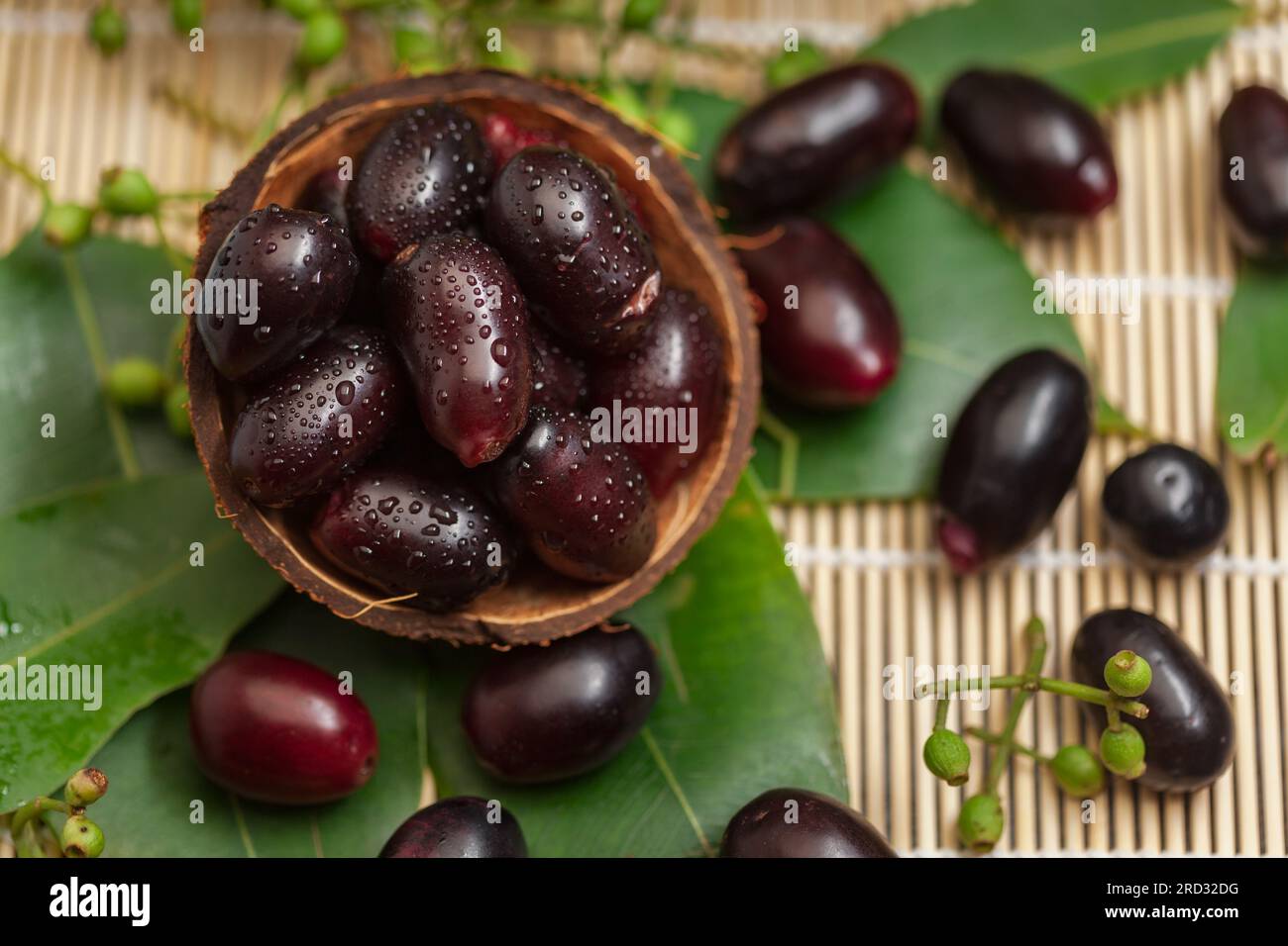 Close-Up of collection of Indian Ayurvedic medicinal fresh organic fruit jamun (Syzygium Cumini ...
