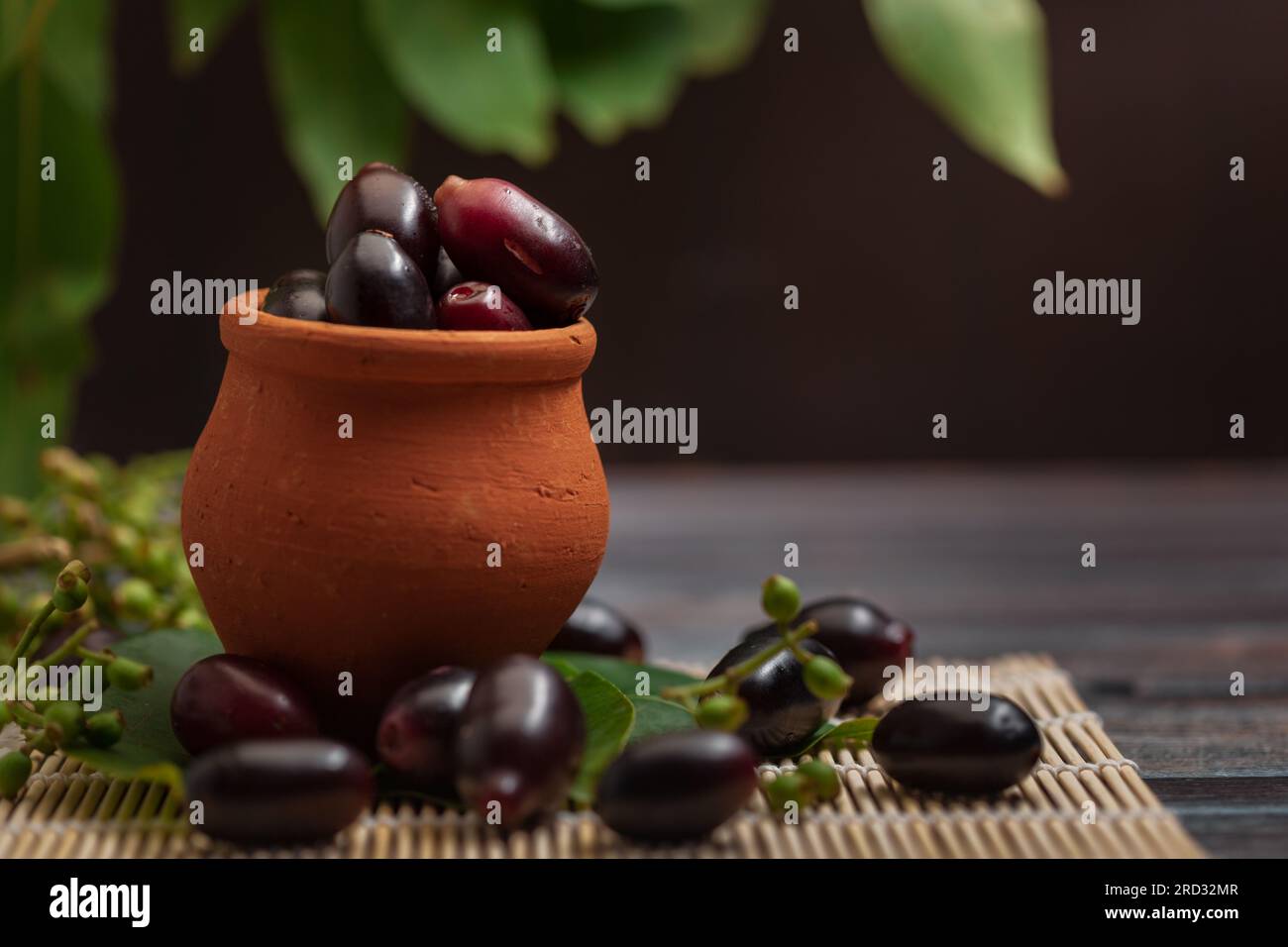 Close-Up of collection of Indian Ayurvedic medicinal fresh organic ...