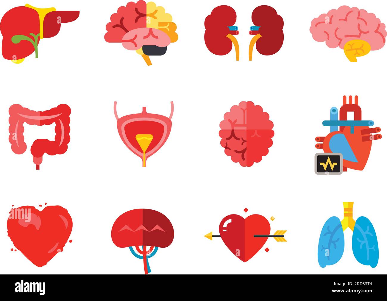 Anatomy Icon Set Stock Vector Image & Art - Alamy