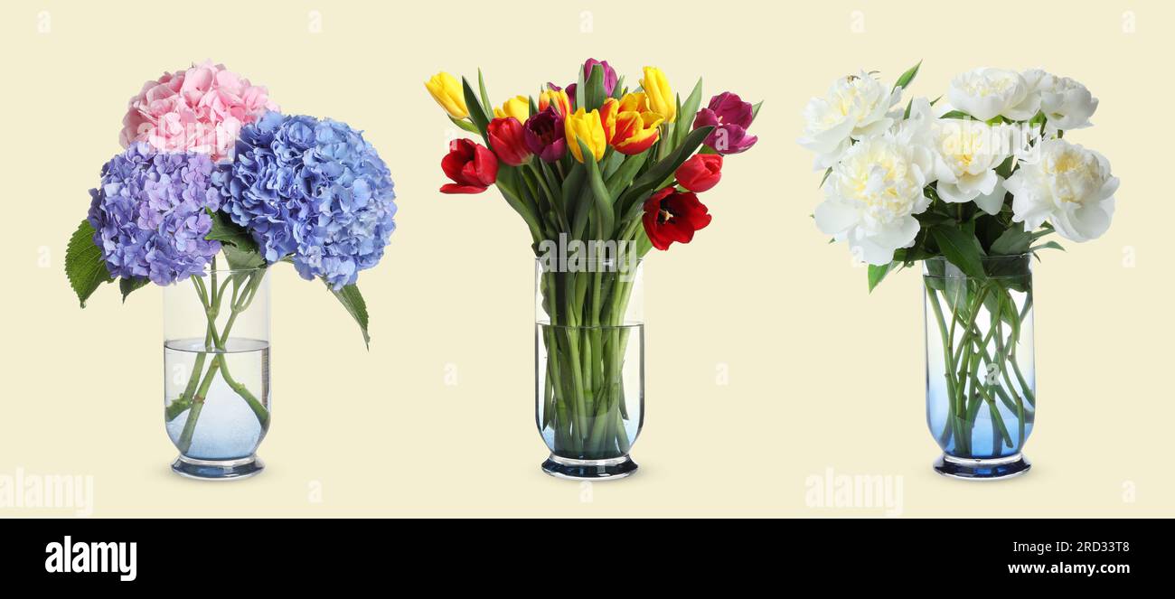 Collage of stylish vase with different bouquets on beige background ...