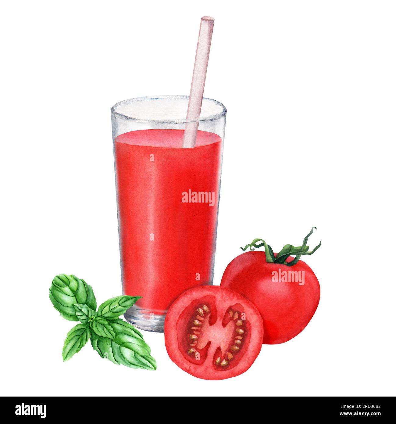 A glass of tomato juice with a straw, basil and tomatoes. Hand drawn ...