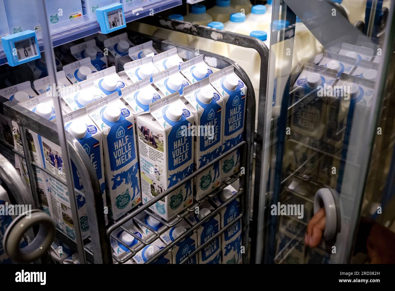 AMSTERDAM - Milk in the dairy department in an Albert Heijn supermarket ...