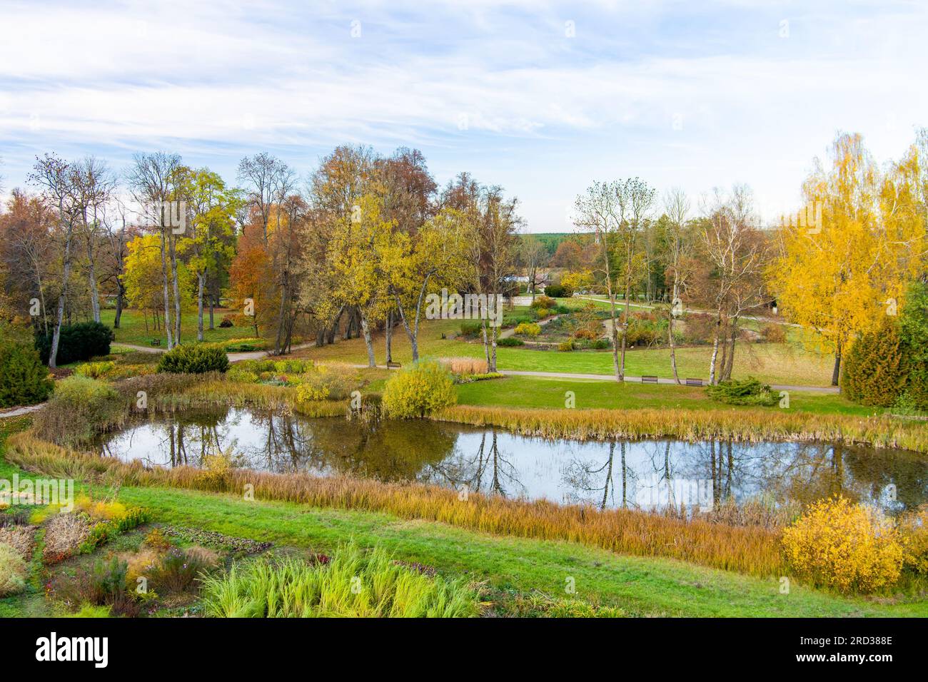 Aerial colorful park scene in autumn with orange and yellow foliage ...