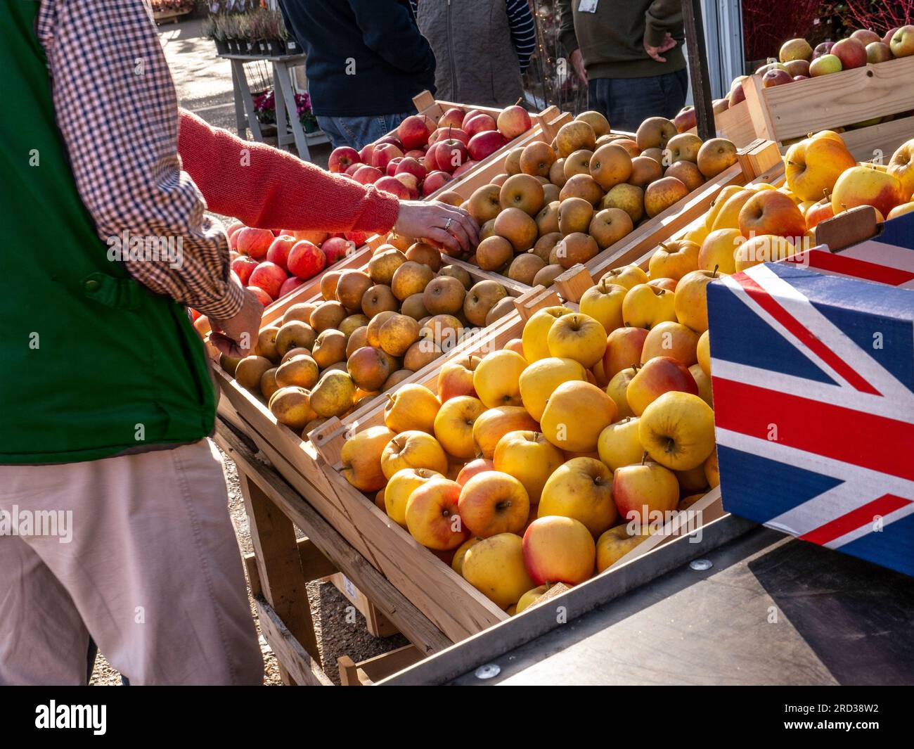 BRITISH APPLES MARKET UNION JACK FLAG BOX Buying UK browsing choosing ...