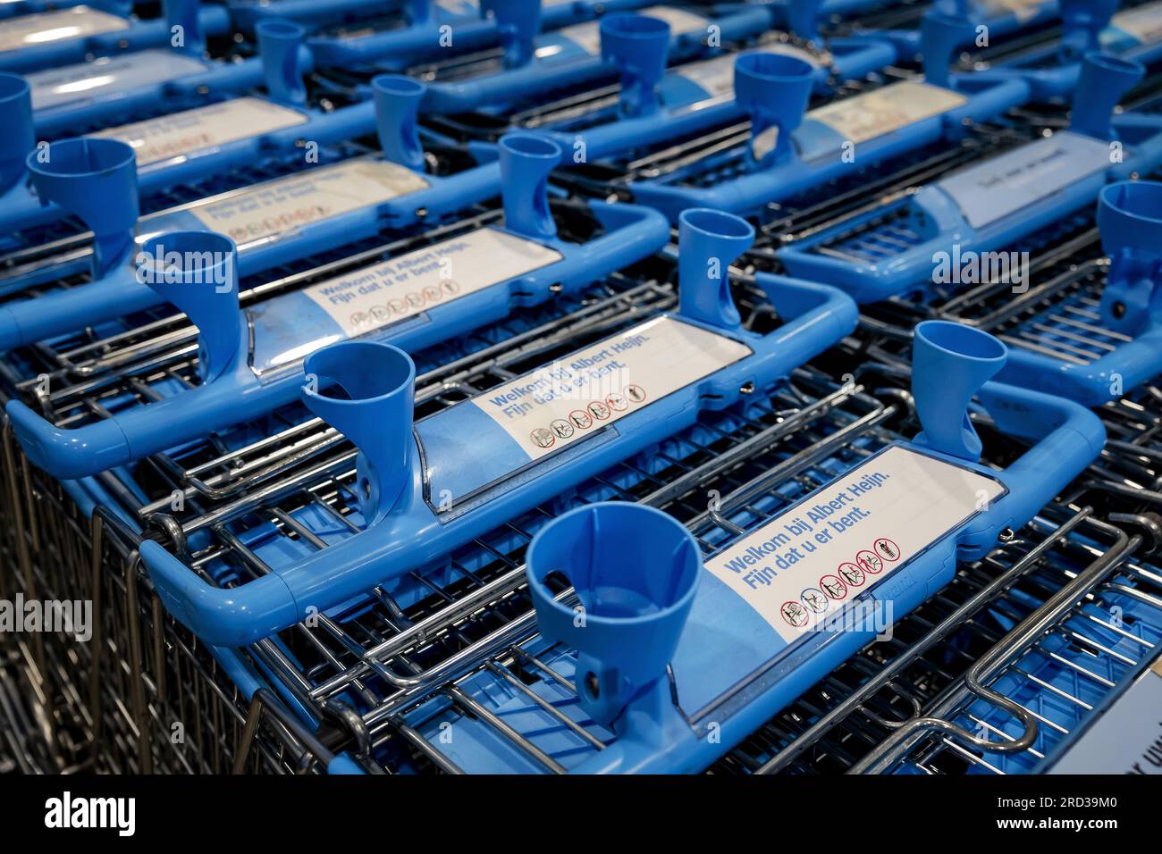 AMSTERDAM - Shopping carts in an Albert Heijn supermarket on ...