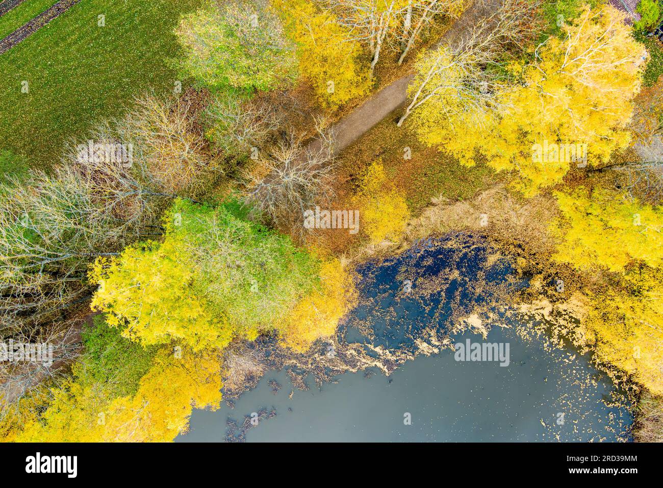 Aerial colorful park scene in autumn with orange and yellow foliage ...
