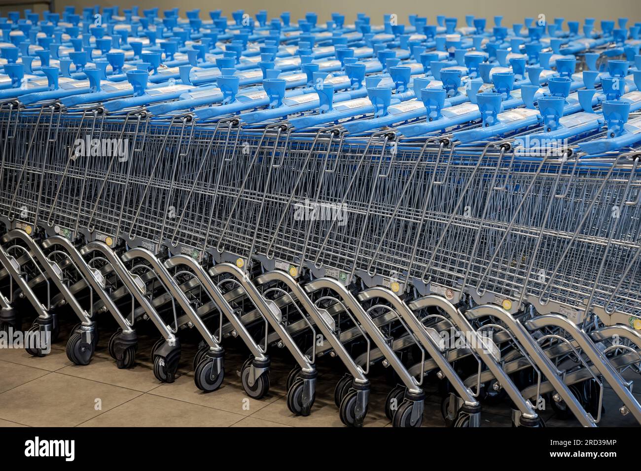 AMSTERDAM - Shopping carts in an Albert Heijn supermarket on ...