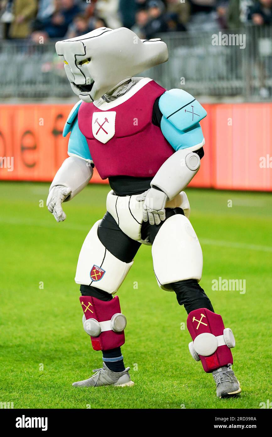 Tottenham hotspur mascot hi-res stock photography and images - Alamy