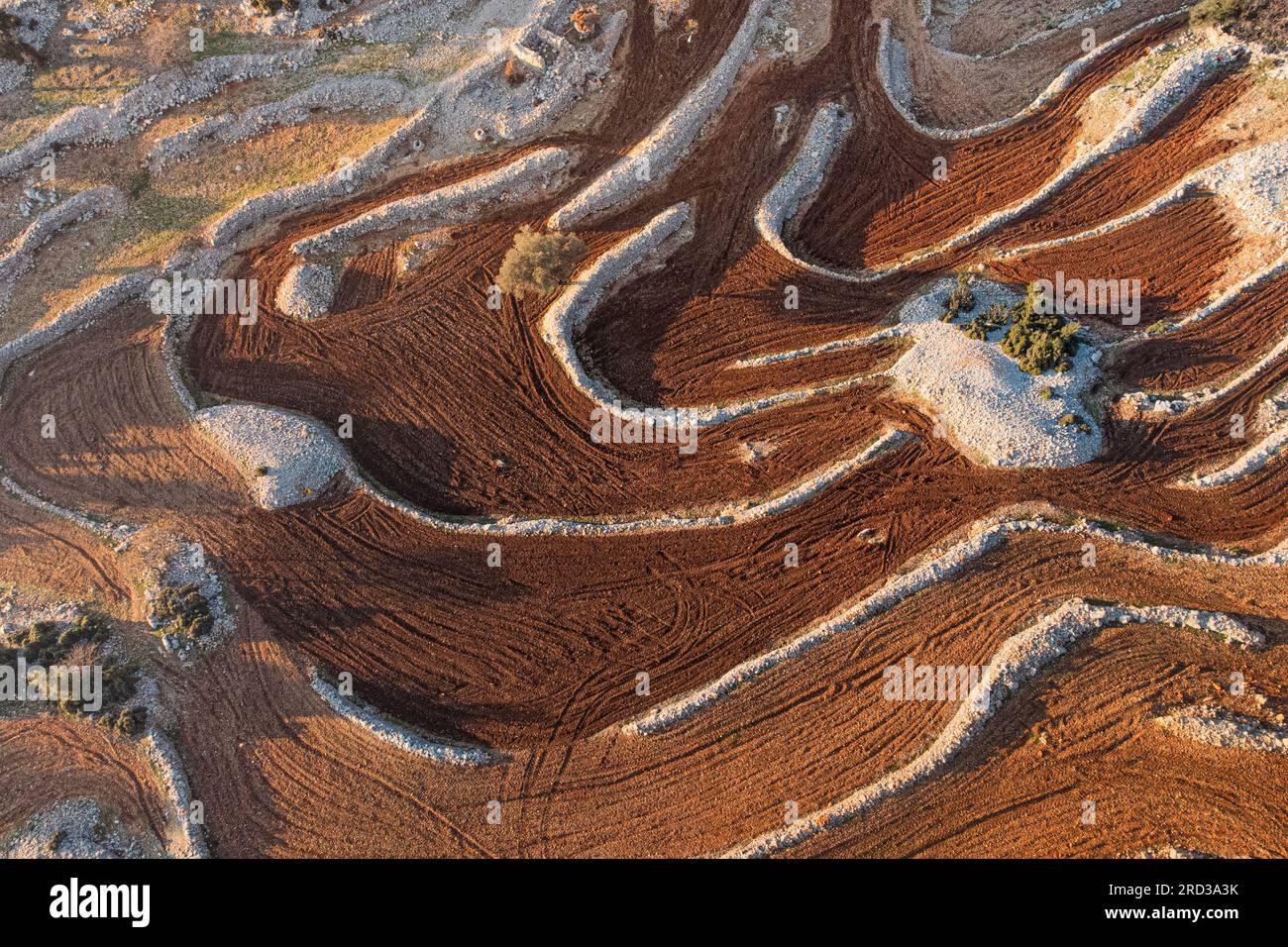 intricate patterns of a plowed field with terraces, harmoniously carved ...