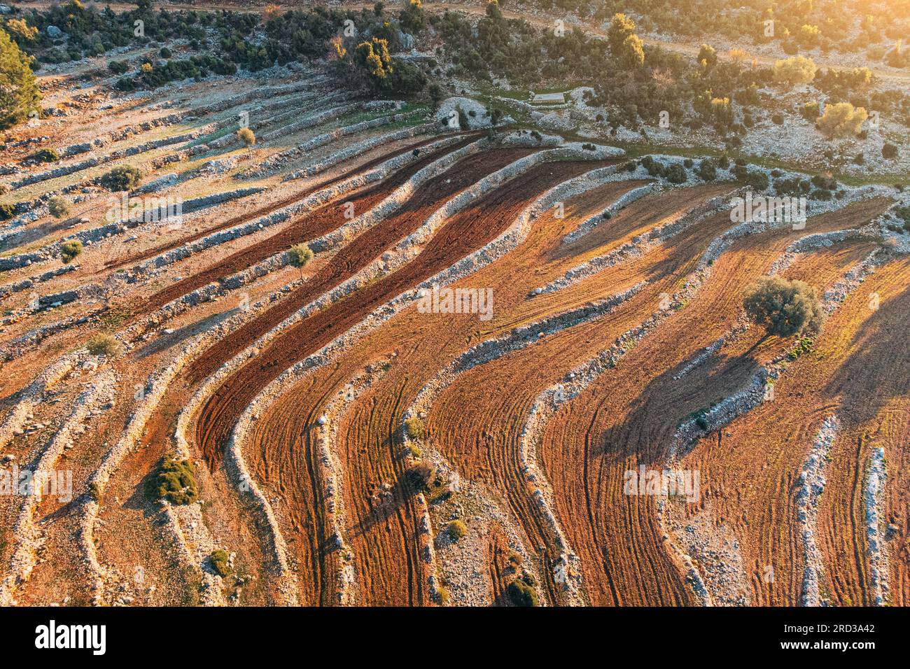 Human inter hi-res stock photography and images - Alamy