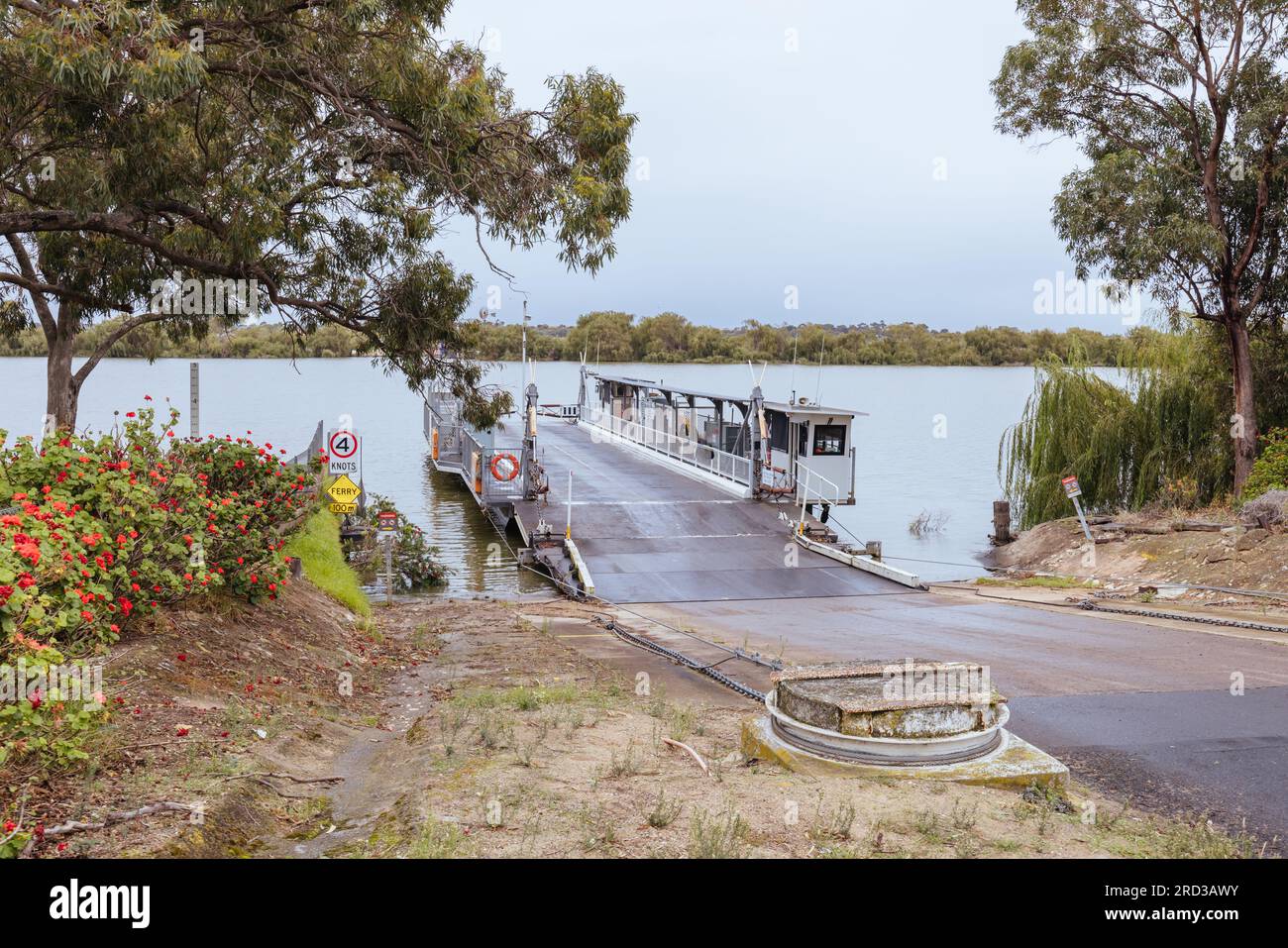 Wellington Ferry in South Australia in Australia Stock Photo - Alamy