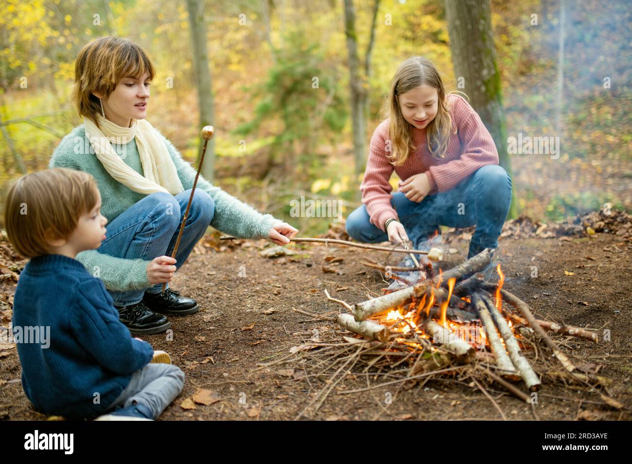 Children roasting marshmallows on sticks at bonfire. Children having ...
