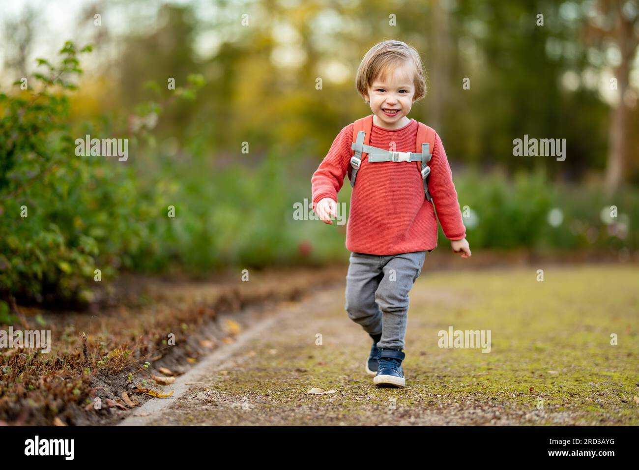 Funny toddler boy having fun outdoors on sunny autumn day. Child ...