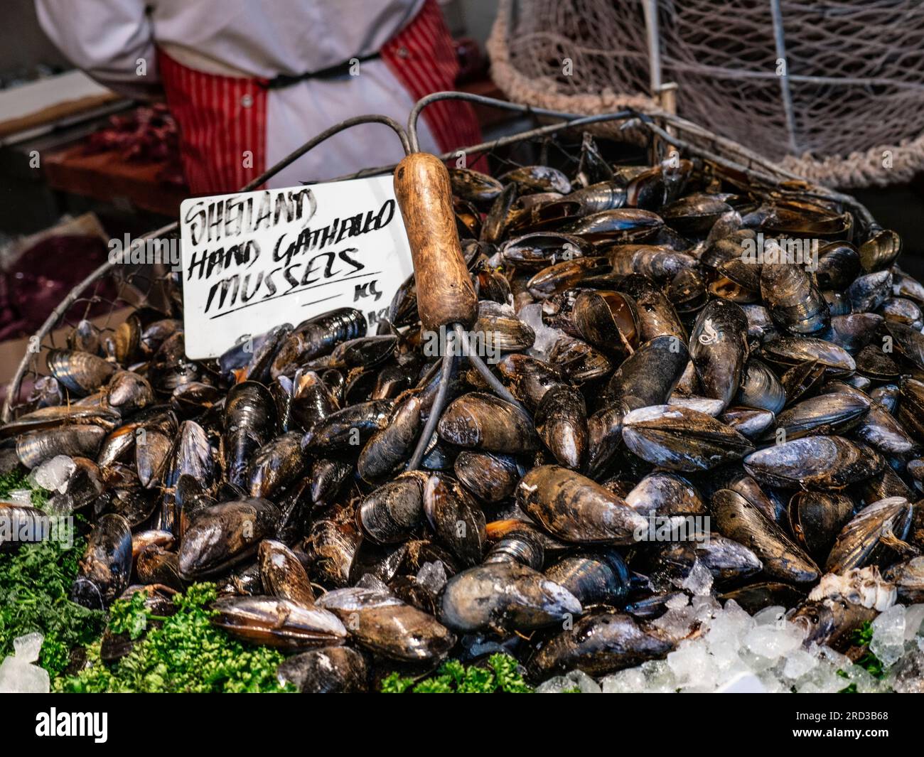 Had gathered hi-res stock photography and images - Alamy