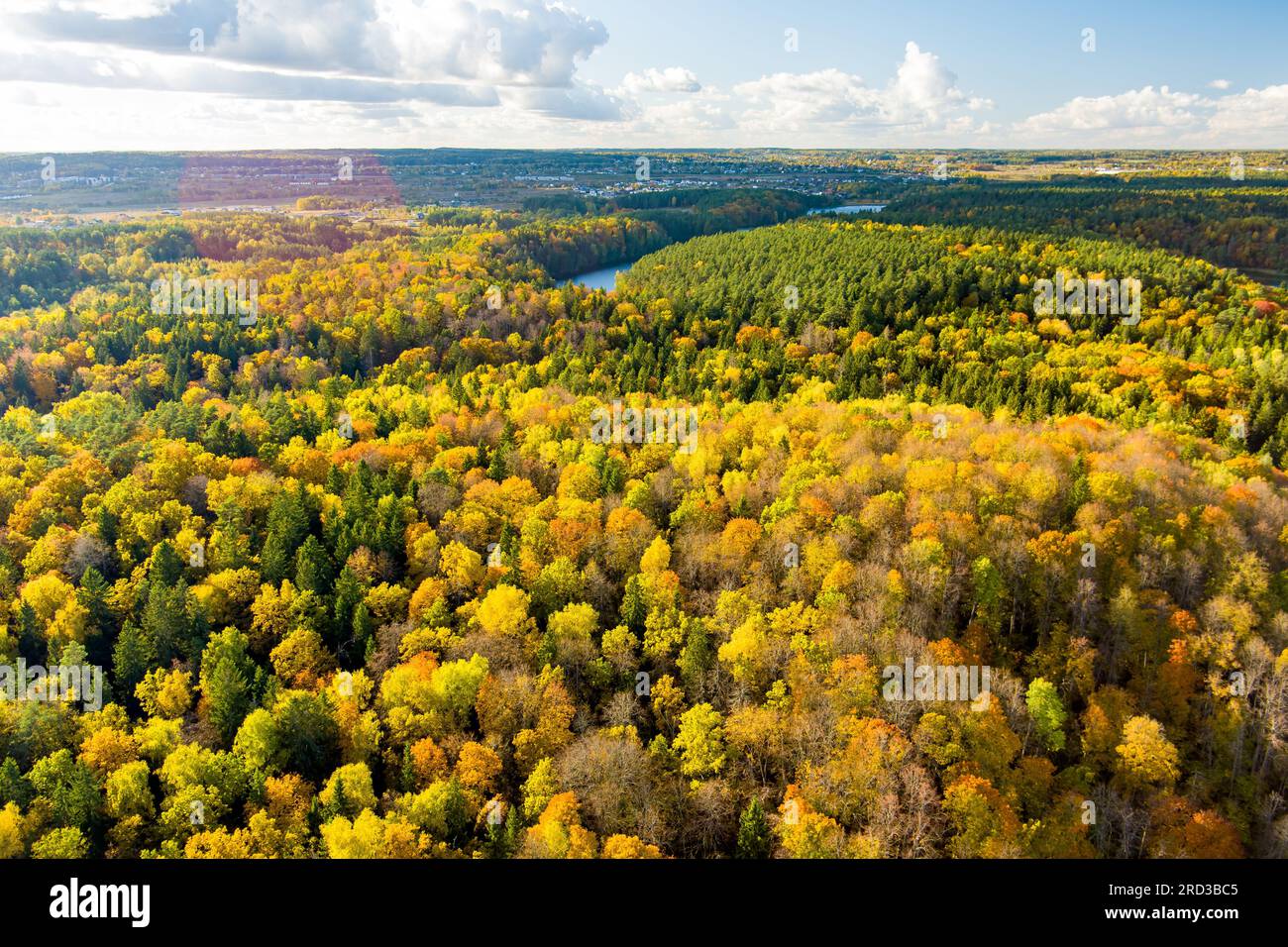 Aerial top down view of autumn forest with green and yellow trees ...