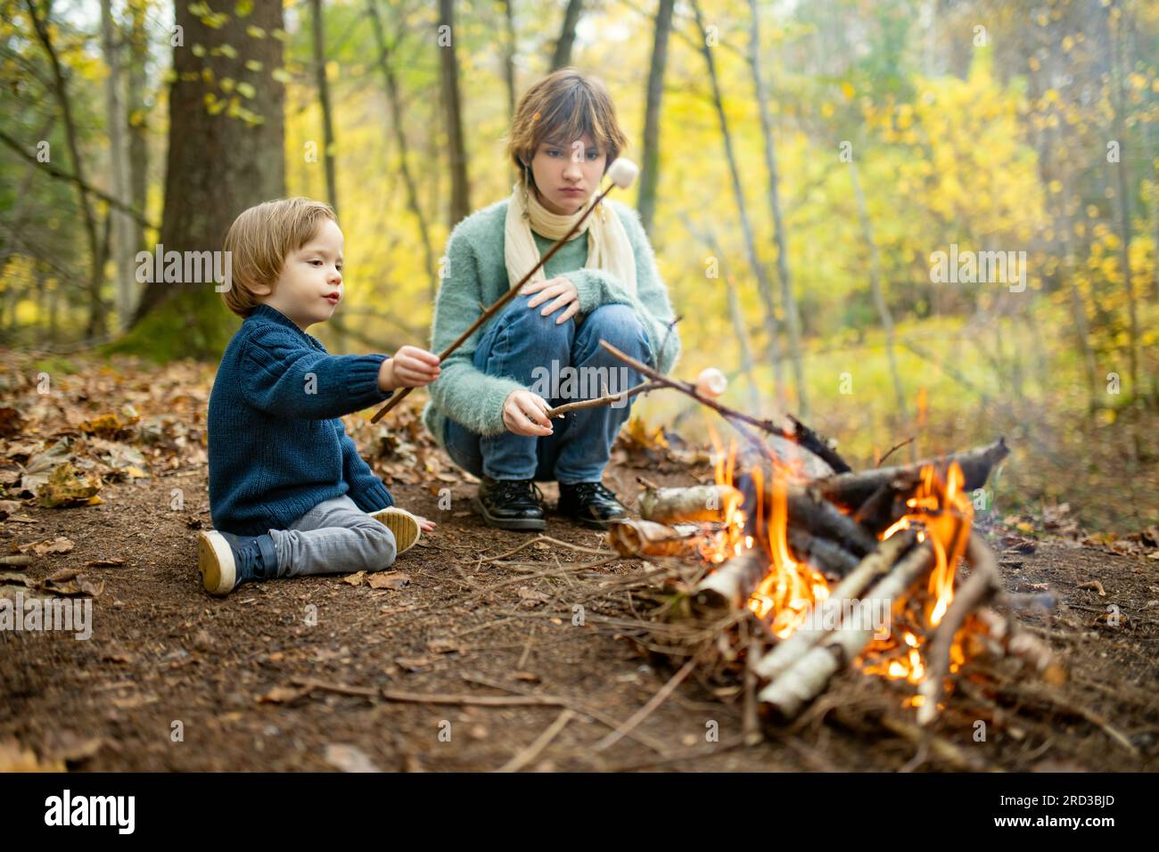 Children roasting marshmallows on sticks at bonfire. Children having ...