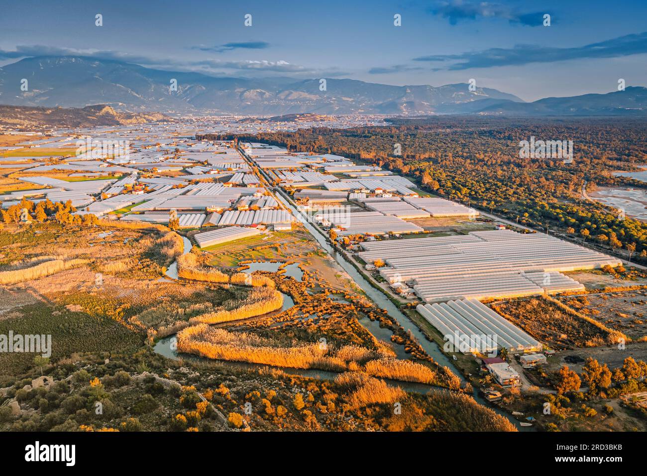 aerial view of a cluster of greenhouses filled with thriving vegetable ...