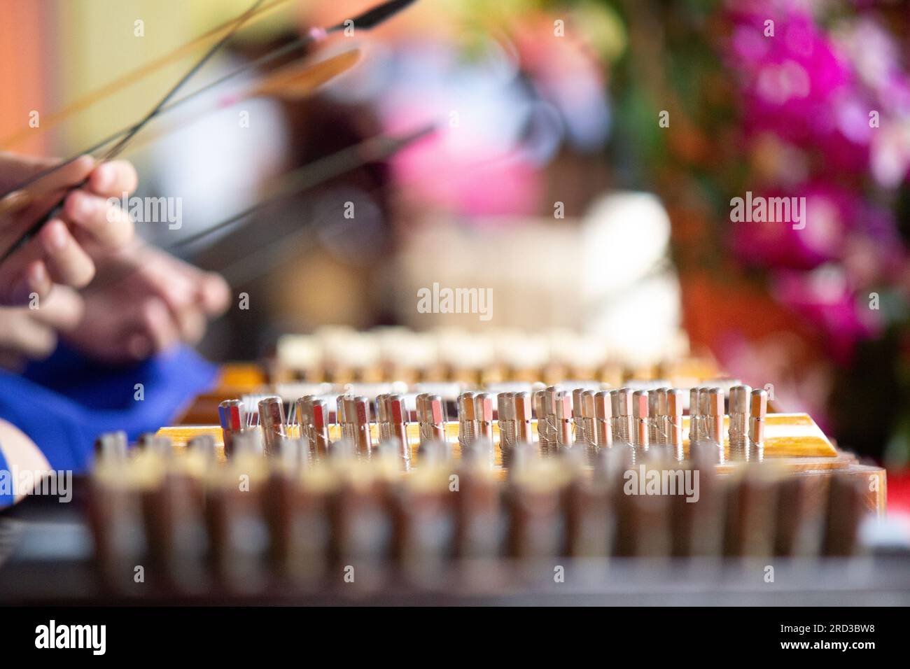 Psalterium player hi-res stock photography and images - Alamy